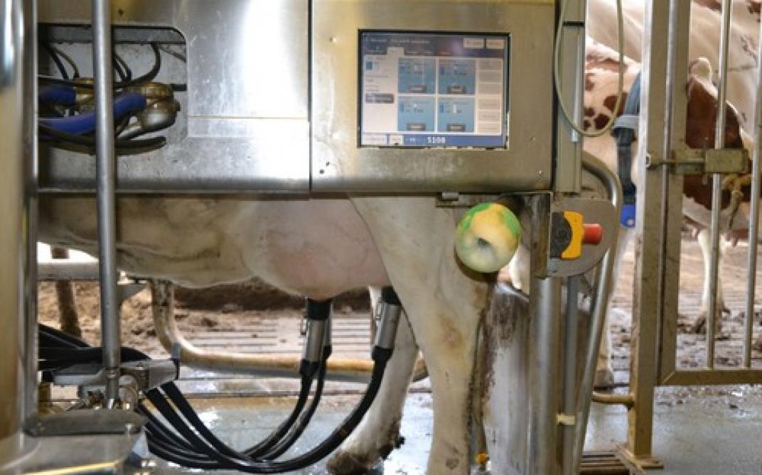 Webinar: WeideWijs robotmelken - Landbouwleven