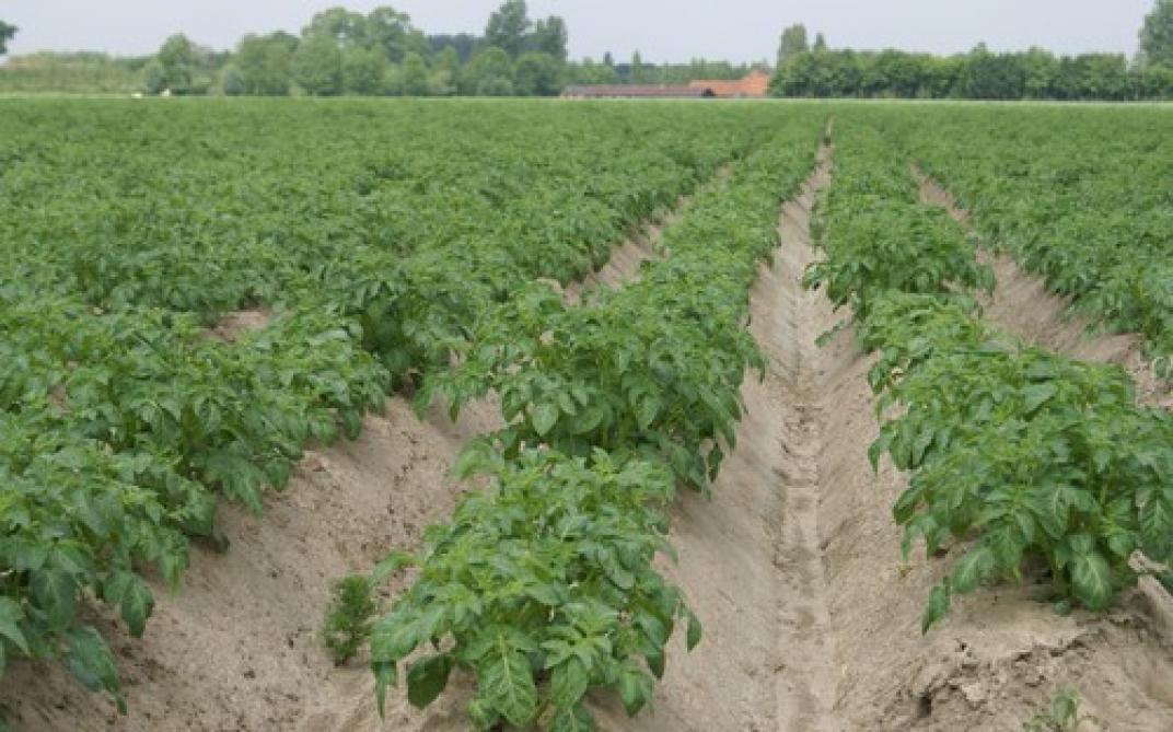 TUM - Zelf aan de slag met rijenbemesting - Landbouwleven TUM - Zelf aan de slag met rijenbemesting - Landbouwleven