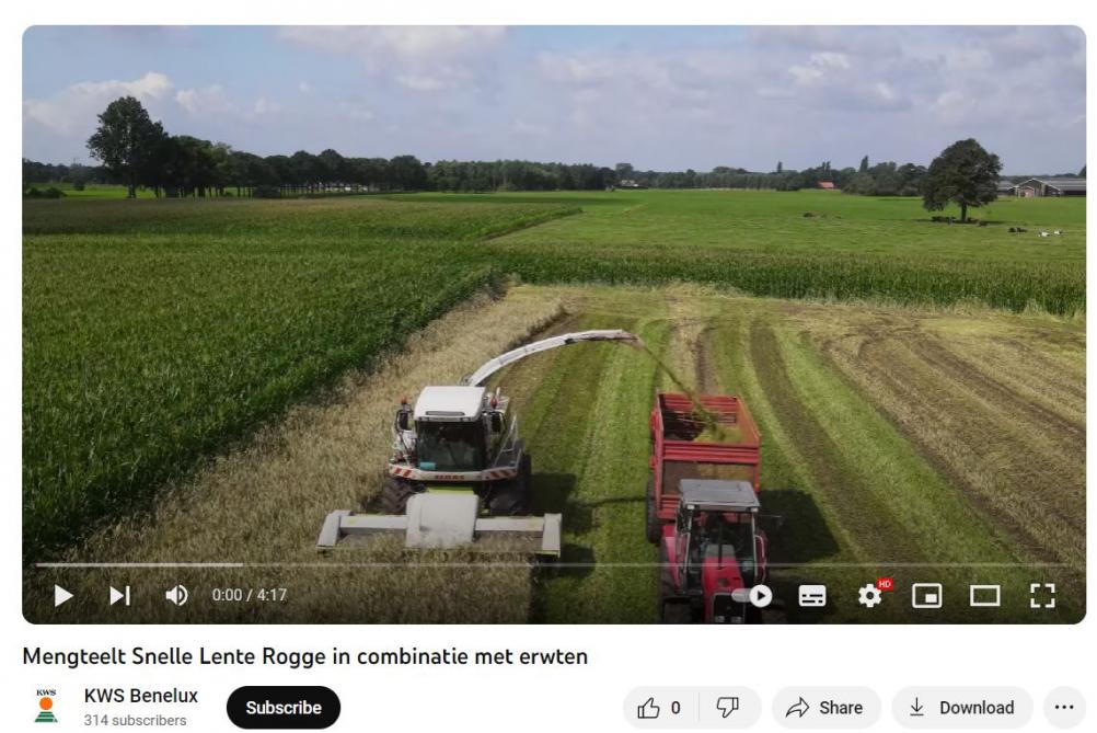 Mengteelt Snelle Lente Rogge in combinatie met erwten - Landbouwleven