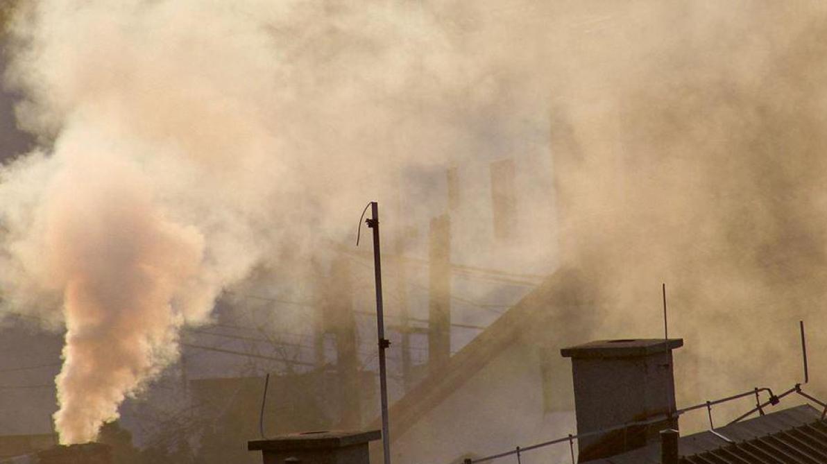 Edito: Witte rook? Of blijft die toch nog eerder grijs? - Landbouwleven