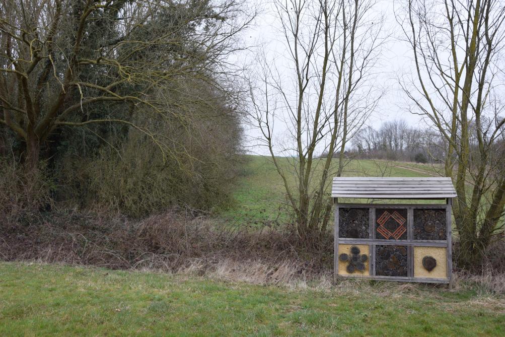 Nieuwe niet-productieve investeringen in de bestaande lijst - Landbouwleven