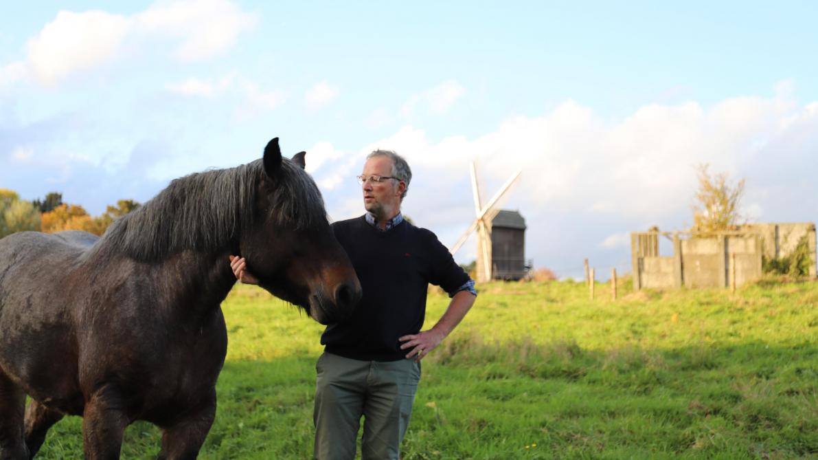 Op bezoek bij paardenfokker Bart Coppens - Landbouwleven
