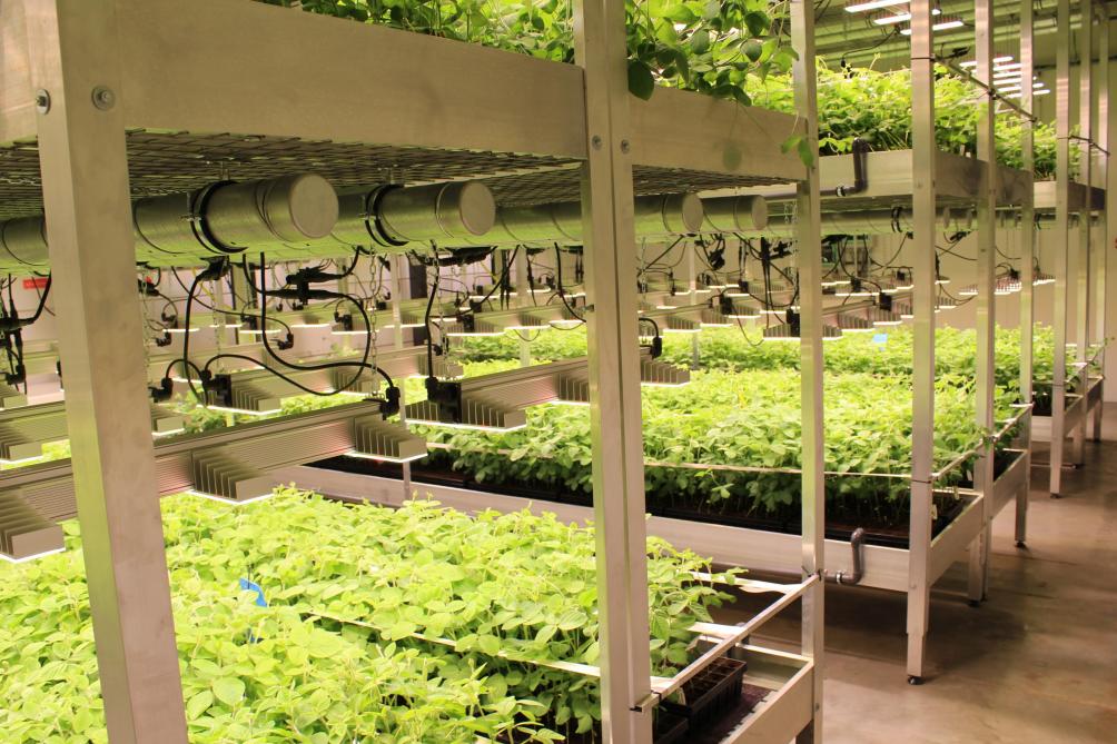 10 miljoen euro steun voor innovatie, samenwerking en demonstraties in ...