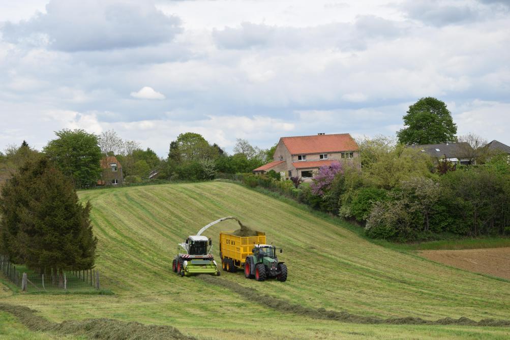 Nog nooit zoveel waardering voor Vlaamse land- en tuinbouw - Landbouwleven
