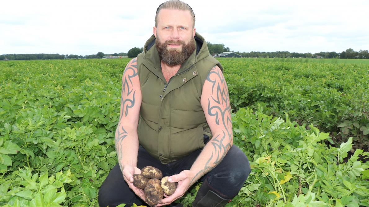 Aardappelteler René Mesken (NL): Vrijwel niemand gaat het redden om ...