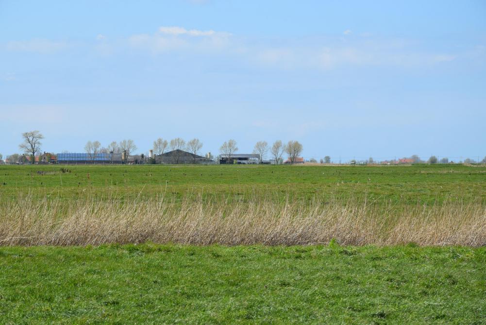 Vijftiger sterft op eigen landbouwterrein bij ongeval tussen tractor en ...