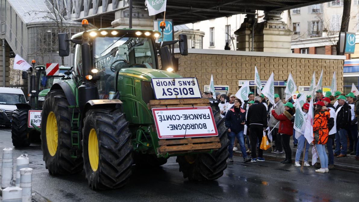 Boerenprotesten gaan wereldwijd door - Landbouwleven