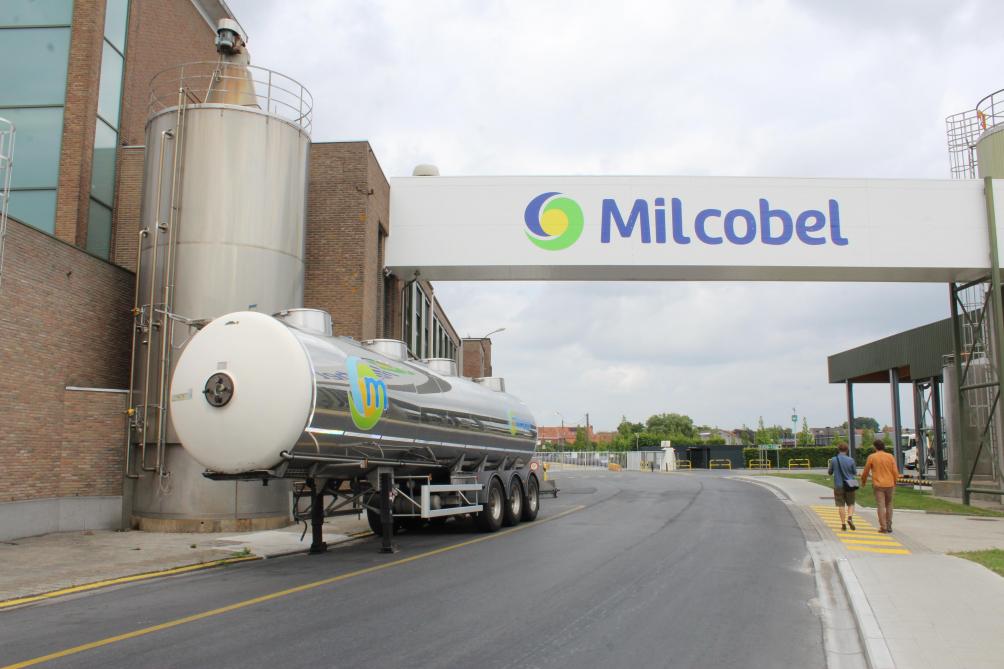 Milcobel handhaaft standaard melkprijs voor mei - Landbouwleven