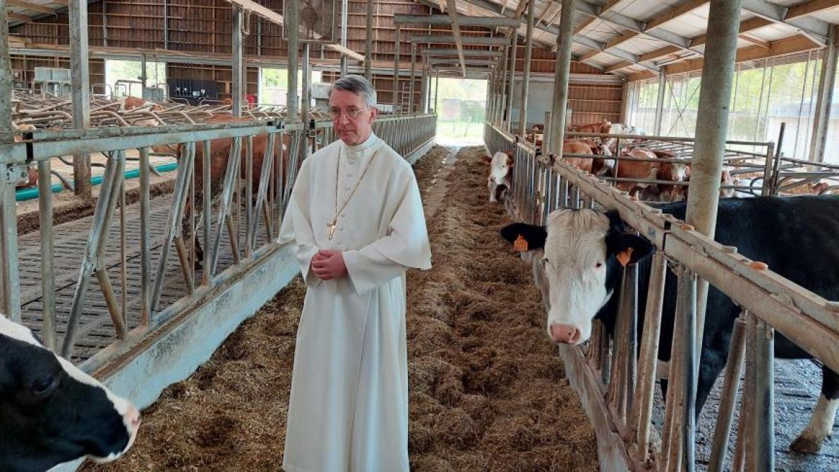 Melkveebedrijf van Abdij van Averbode sluit de deuren - Landbouwleven